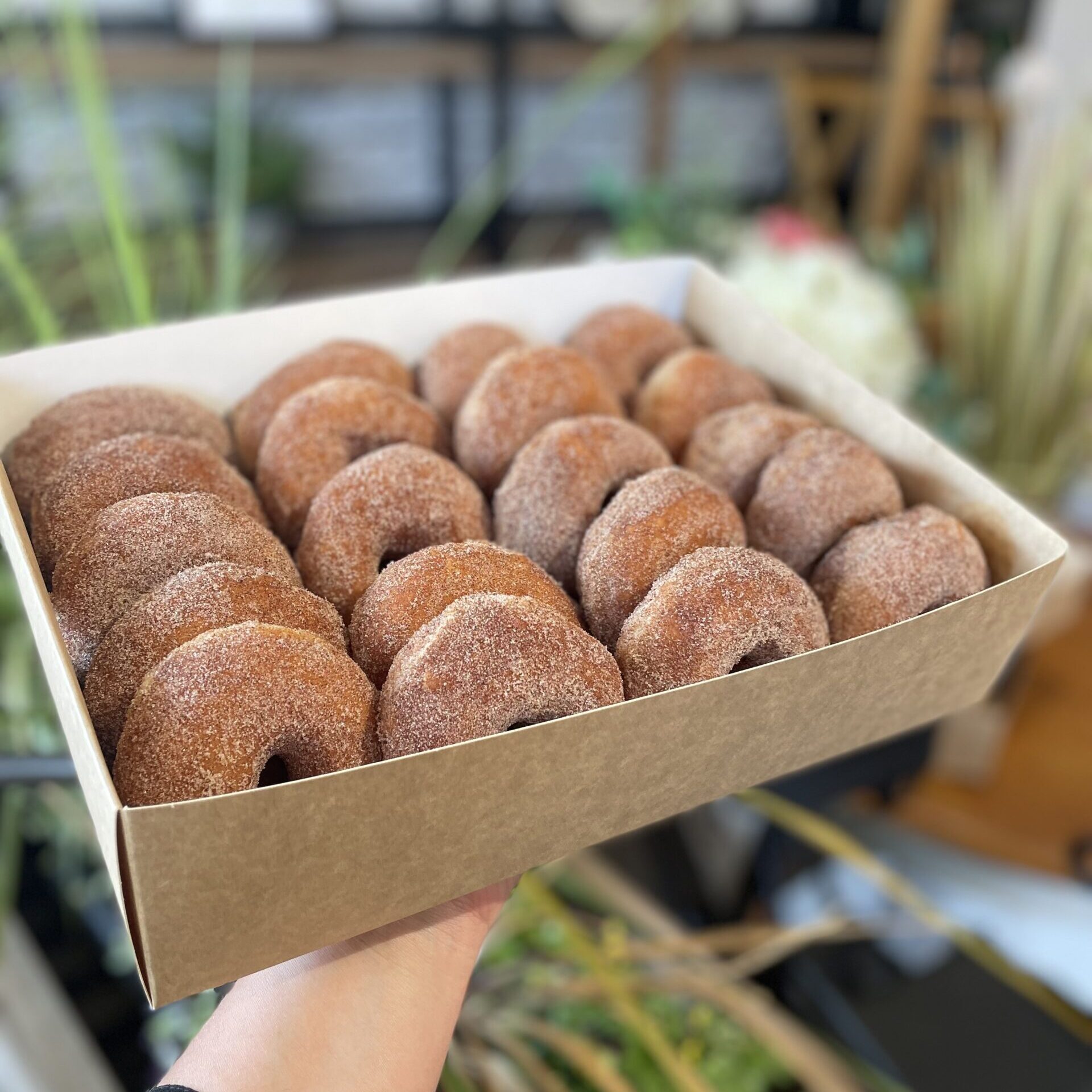 Bitesize Cinnamon Doughnut Box - Warings Bakery